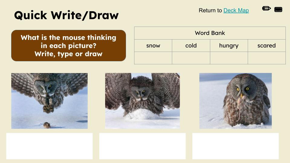 Peacock Informational Text Reading Passage and Activities