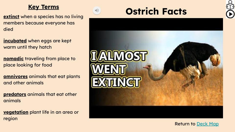 Peacock Informational Text Reading Passage and Activities