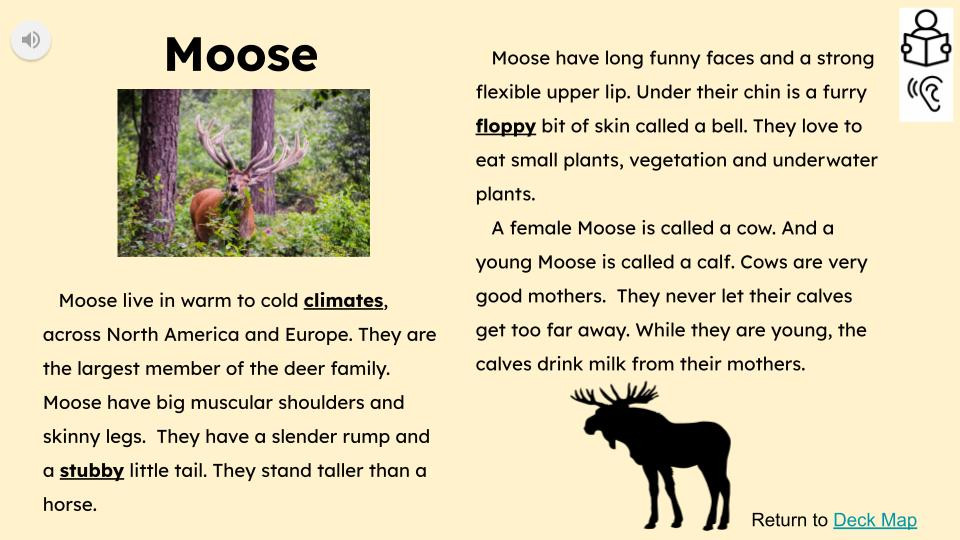 Peacock Informational Text Reading Passage and Activities