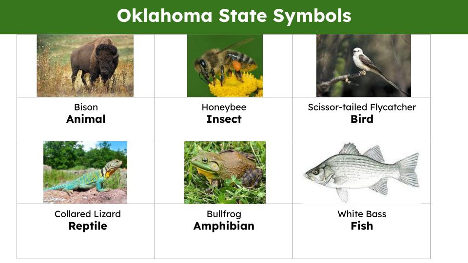 Oklahoma (50 States and Capitals) Informational Text and Activities