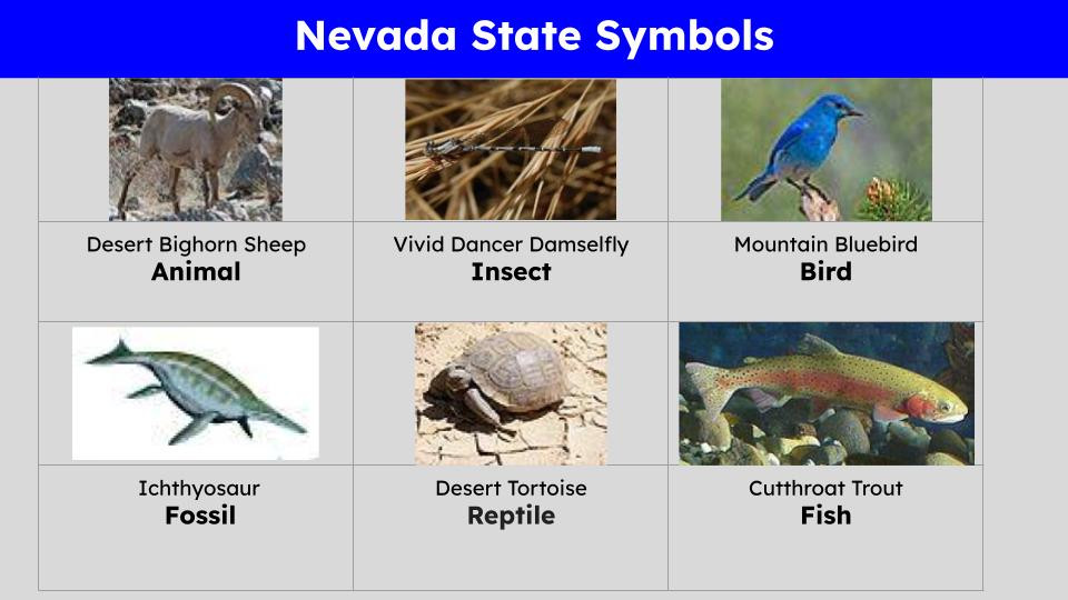 Nevada (50 States and Capitals) Informational Text and Activities