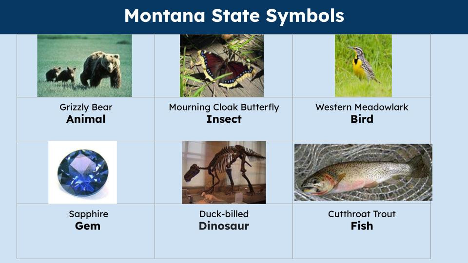 Montana (50 States and Capitals) Informational Text and Activities