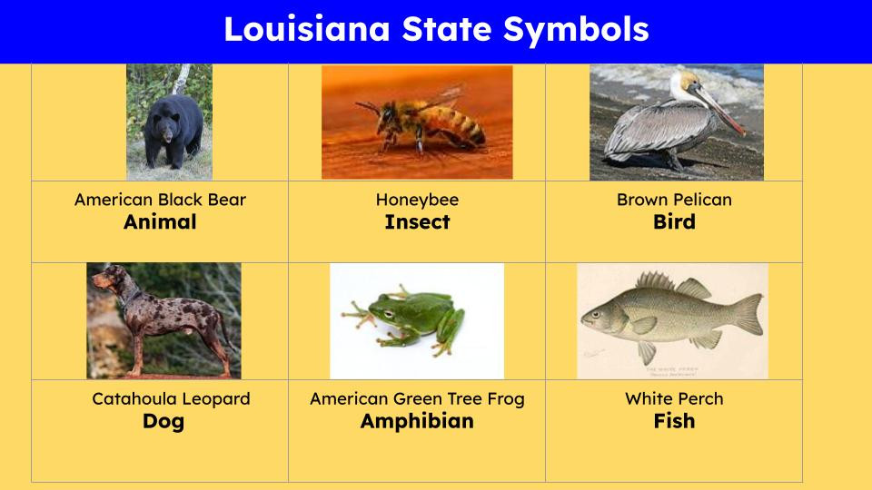 Louisiana (50 States and Capitals) Informational Text and Activities