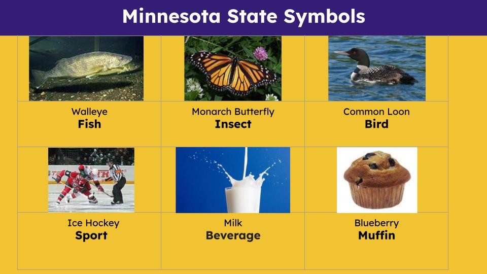 Minnesota (50 States and Capitals) Informational Text and Activities