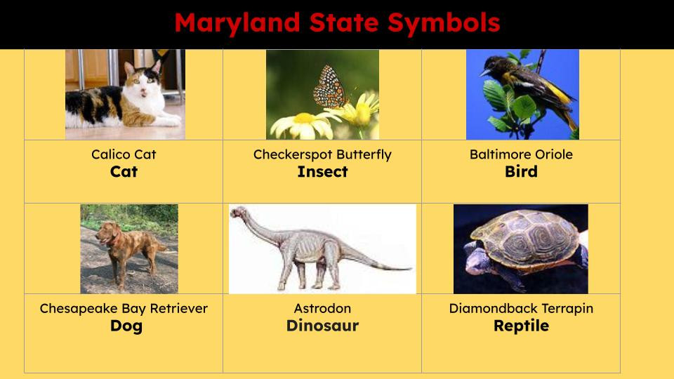 Maryland (50 States and Capitals) Informational Text and Activities
