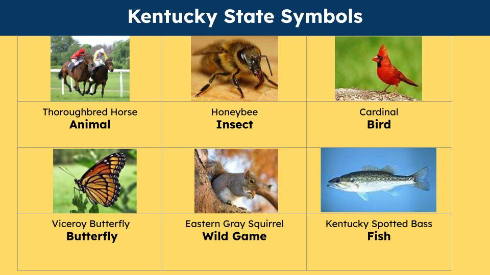 Kentucky State (50 States and Capitals) Informational Text and Activities