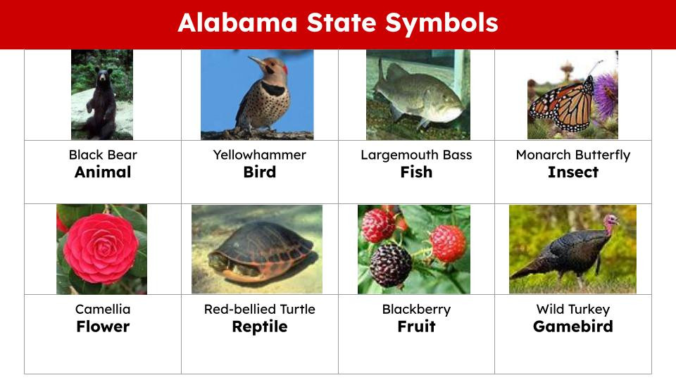 Alabama State (50 States and Capitals) Informational Text and Activities