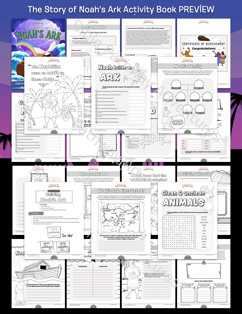 Noah's Ark Activity Book (kids ages 6-12)