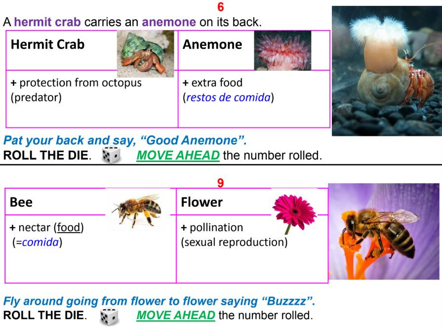 Symbiosis: Why Can't we be Friends - Amped Up Learning