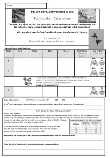 Natural Selection: Angry Birds - Amped Up Learning