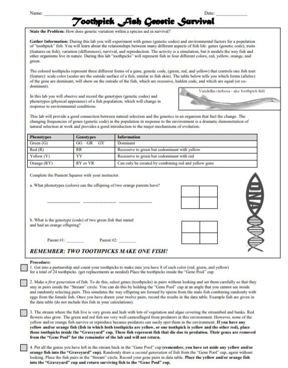 Natural Selection: Toothpick Fish - Amped Up Learning