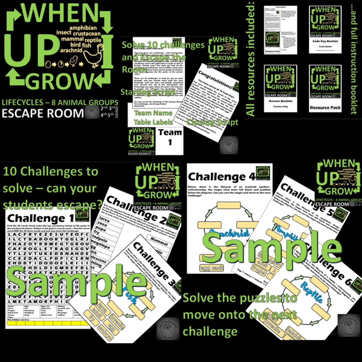 SCIENCE: Life Cycles Bundle - 5 Activities, Escape Room, Matching Game ...