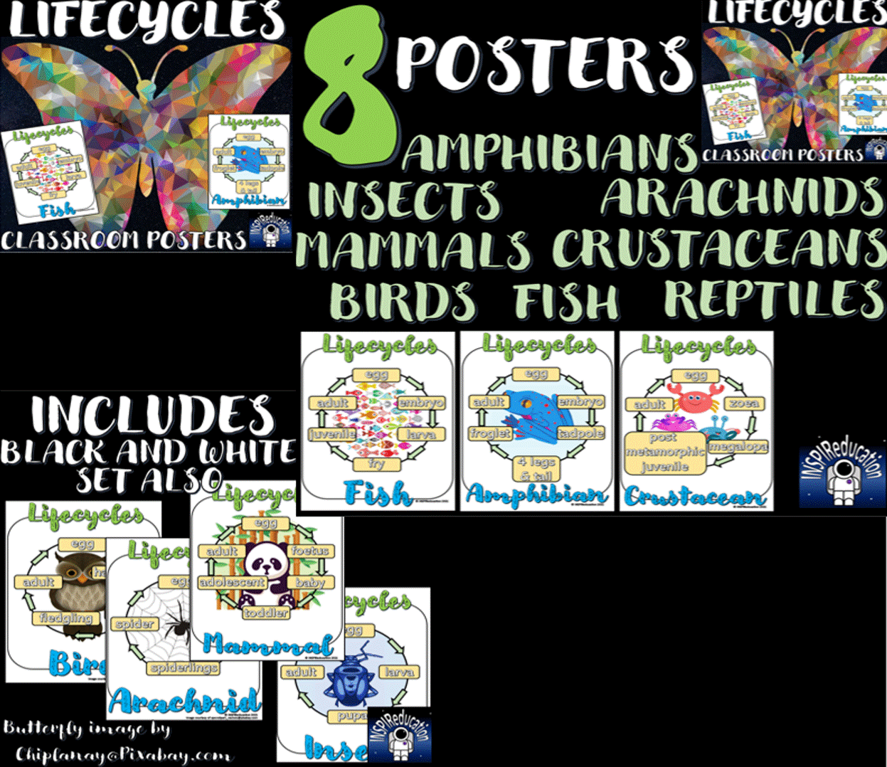 SCIENCE: Life Cycles Bundle - 5 Activities, Escape Room, Matching Game ...