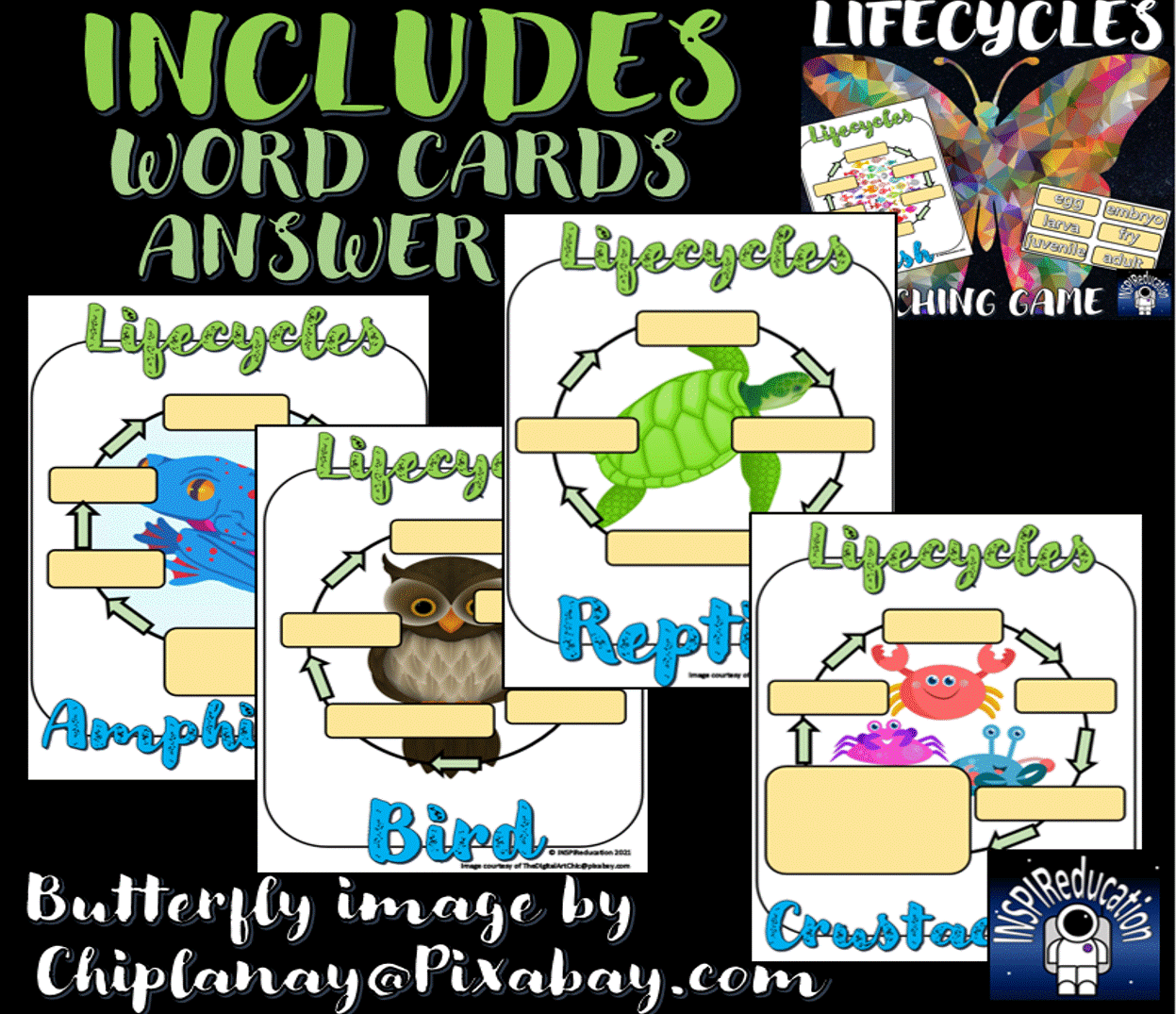 SCIENCE: Life Cycles Matching Game, Sequencing the stages of 8 ...