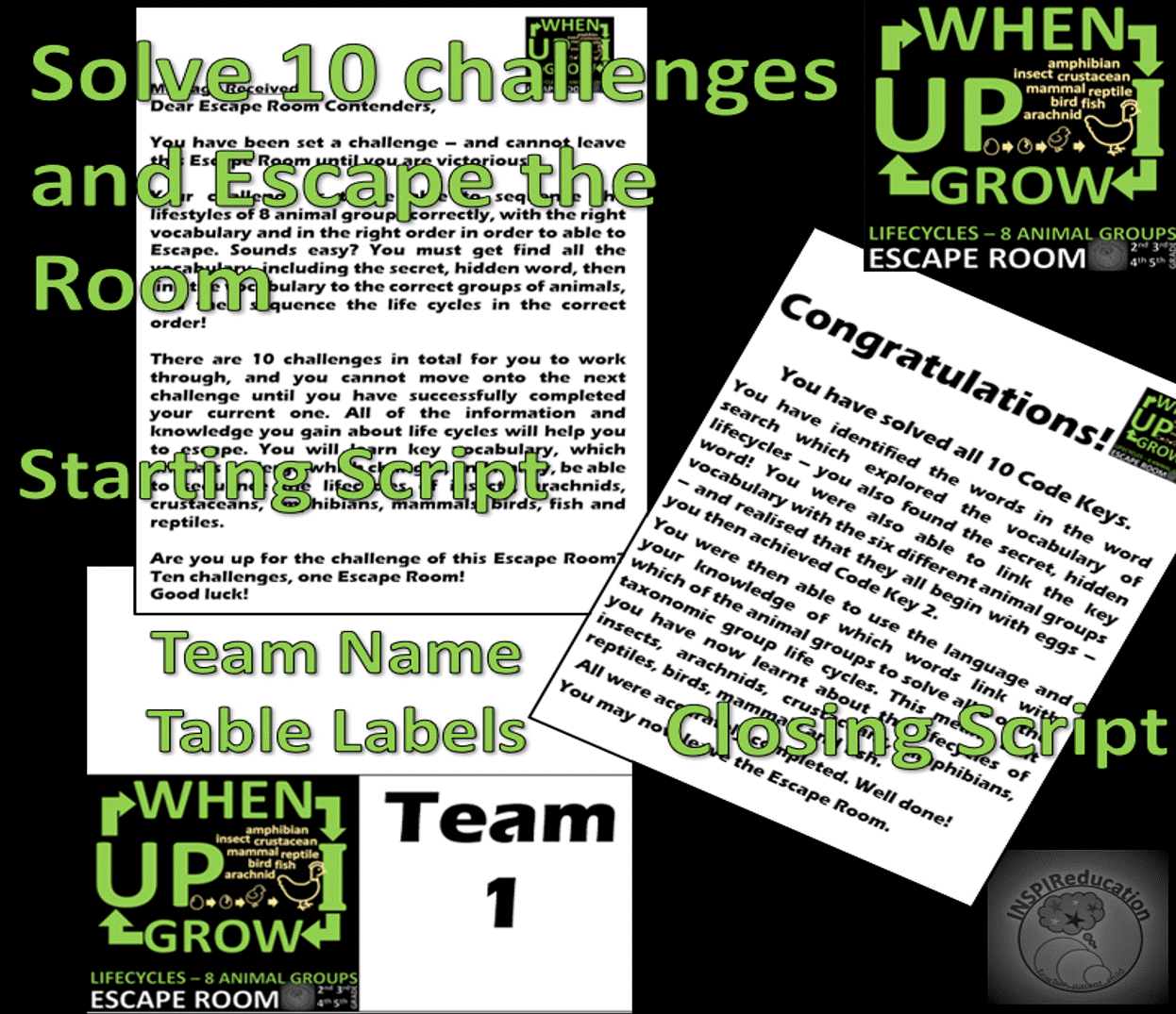SCIENCE ESCAPE ROOM: LIFECYCLES - 10 Challenges, 8 Animal Types, Answer ...