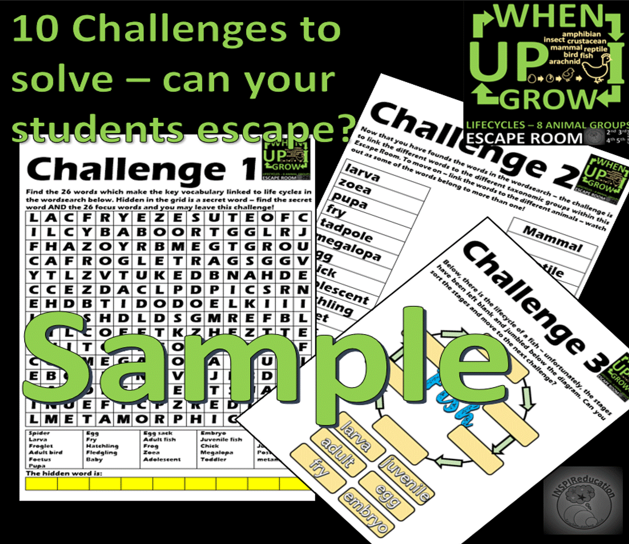 SCIENCE ESCAPE ROOM: LIFECYCLES - 10 Challenges, 8 Animal Types, Answer ...