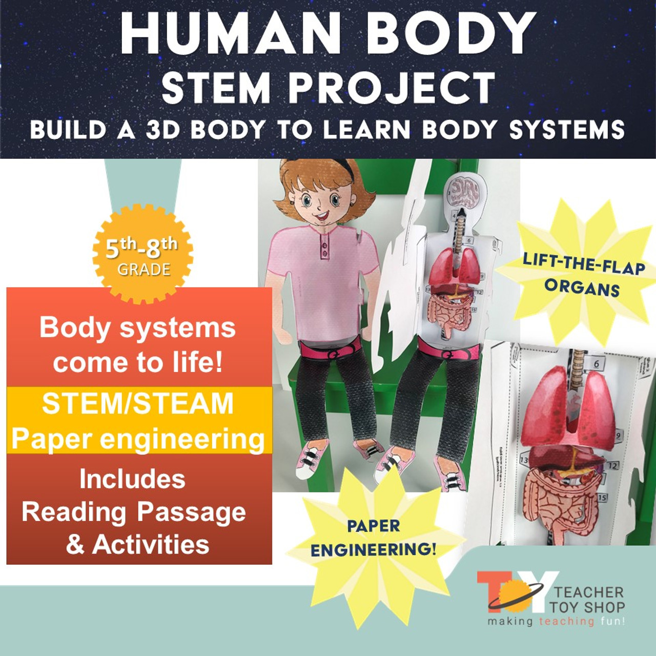 Human Body Systems Activities