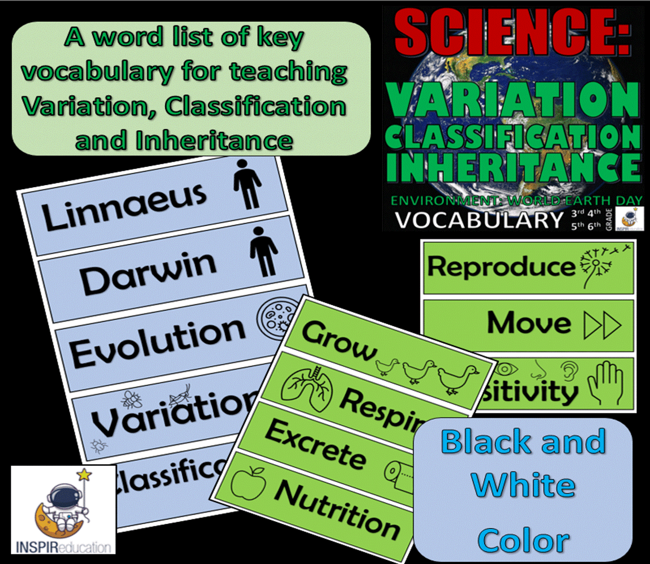 Variation, Classification and Inheritance - 40 Vocabulary Word cards