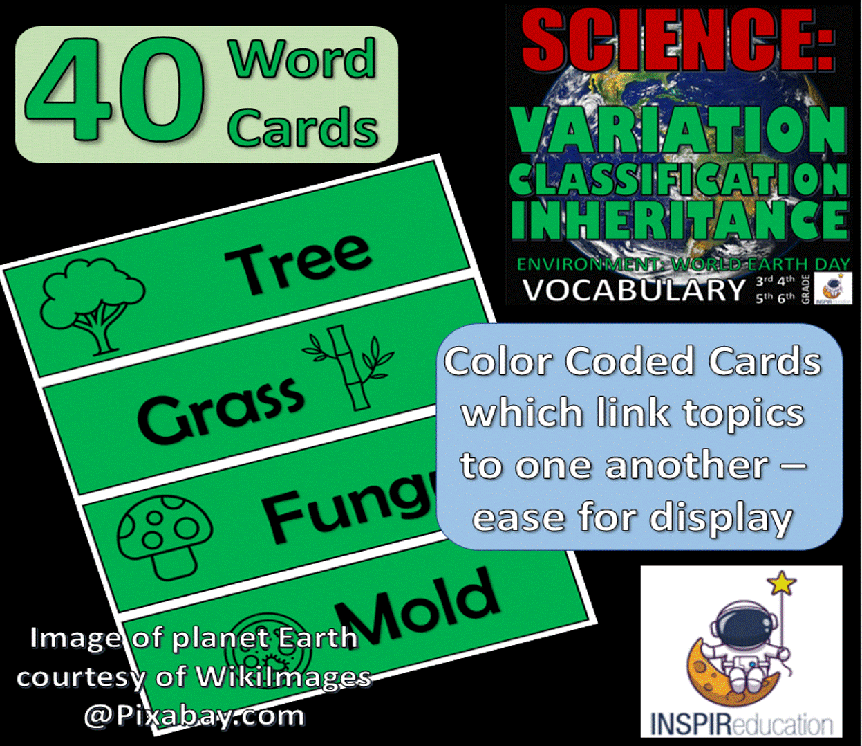 Variation, Classification and Inheritance - 40 Vocabulary Word cards