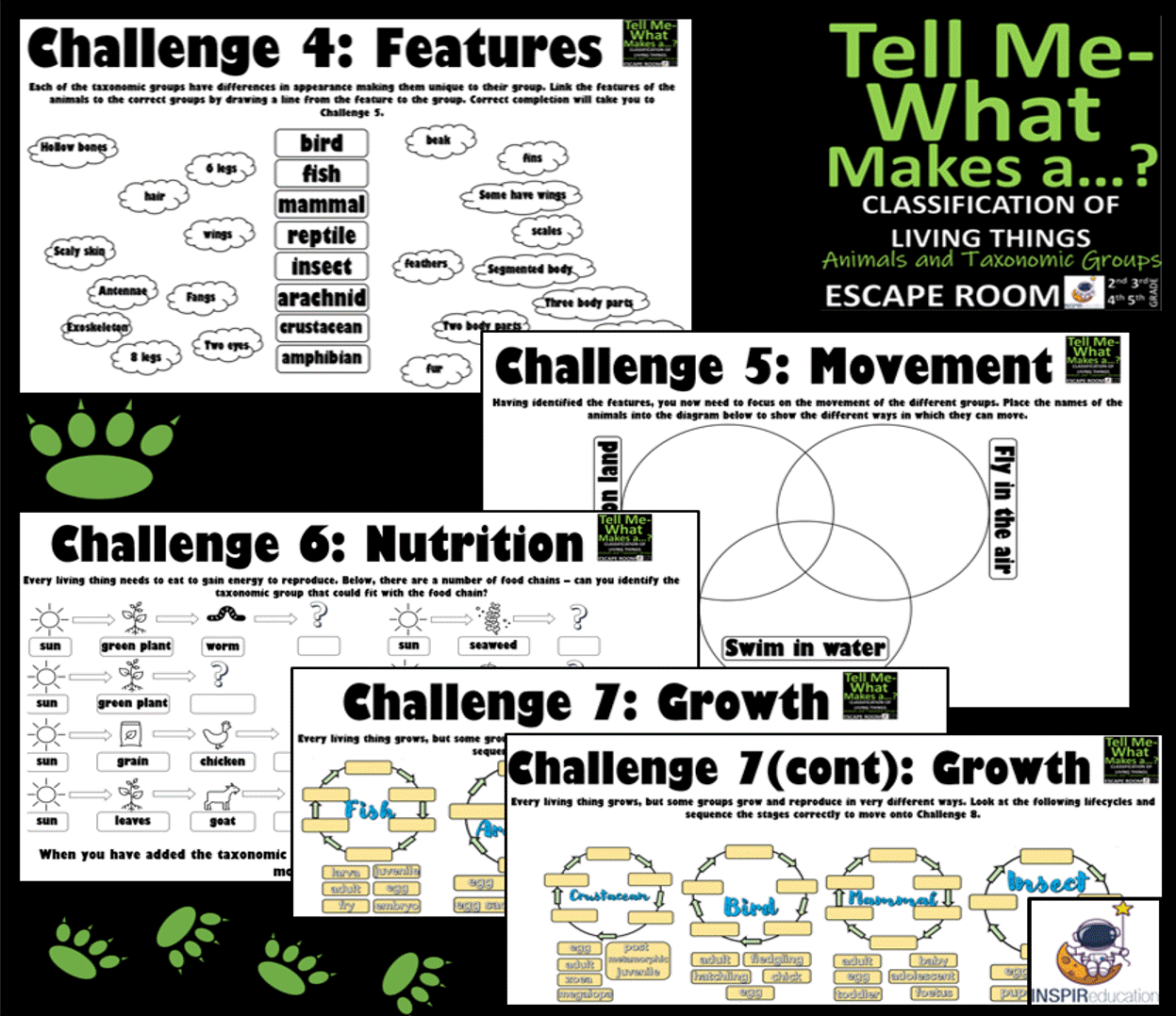 Classification of Animals - ESCAPE ROOM: Sorting Animals using 9 ...