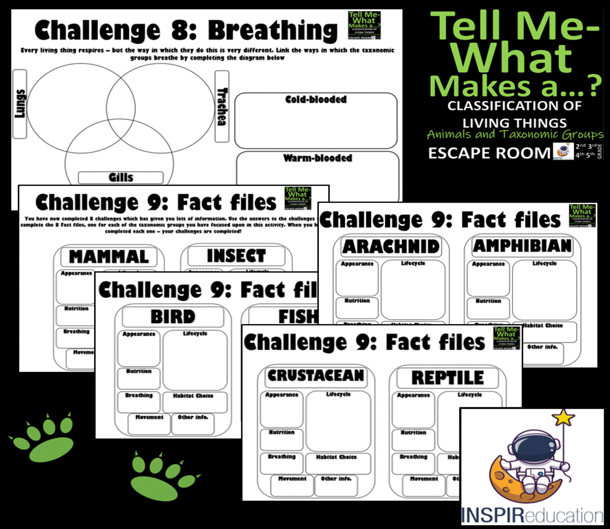 Classification of Animals - ESCAPE ROOM: Sorting Animals using 9 ...