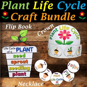 Life Cycle of a Plant Craft Bundle, Lifecycle Crown Hat, Necklace, Flip ...