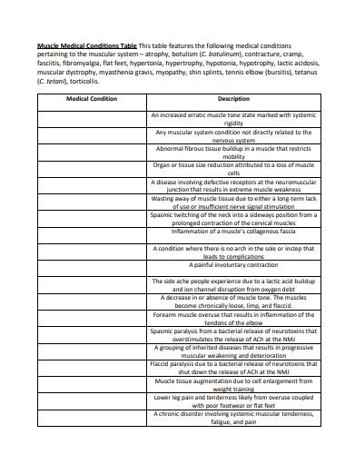 Mega Muscular System Study Guide for Human Anatomy & Physiology - Amped ...