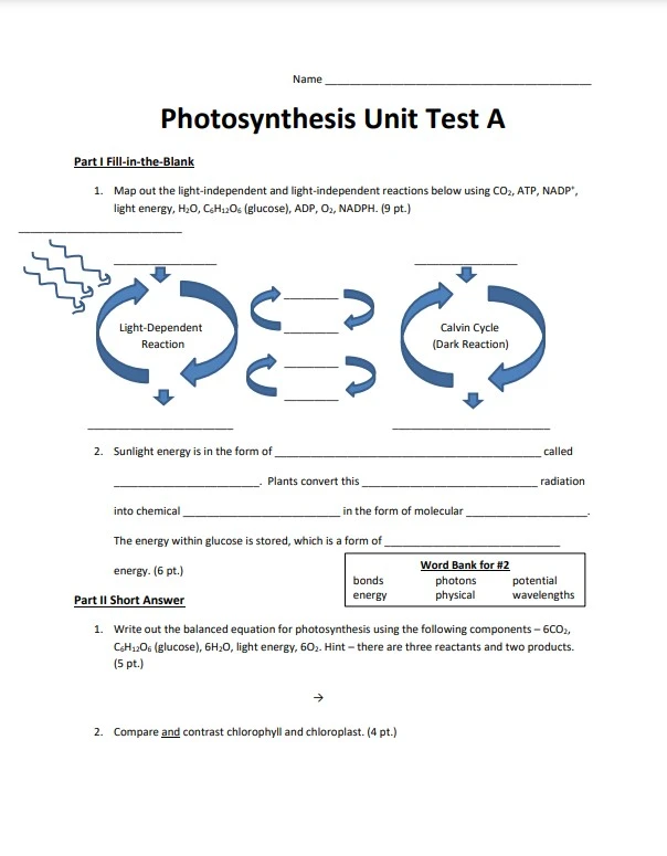 Photosynthesis Test Set A & B for Biology - Amped Up Learning