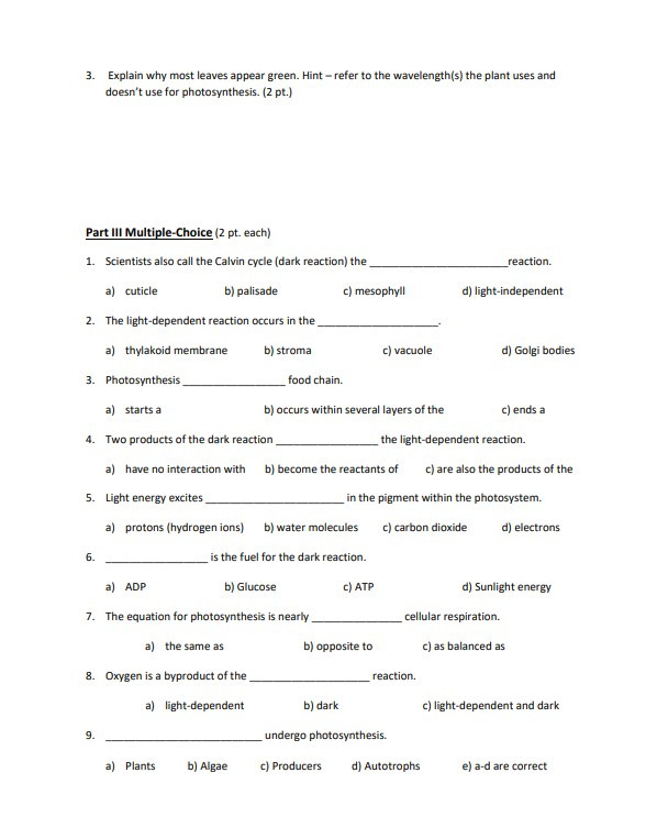 Photosynthesis Test Set A & B for Biology - Amped Up Learning