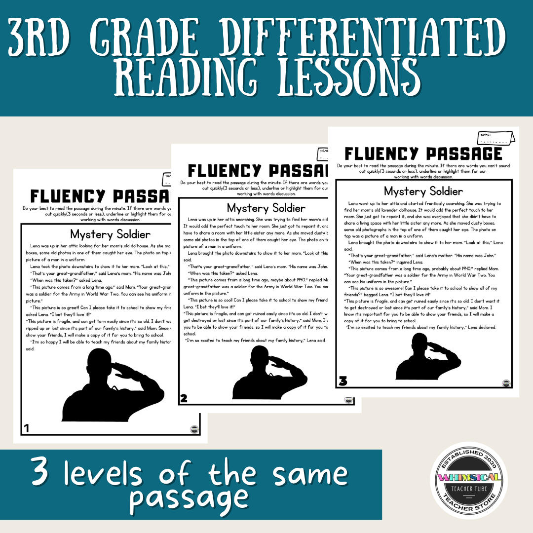 3rd Grade Differentiated Reading & Writing Lessons & Activities Family ...