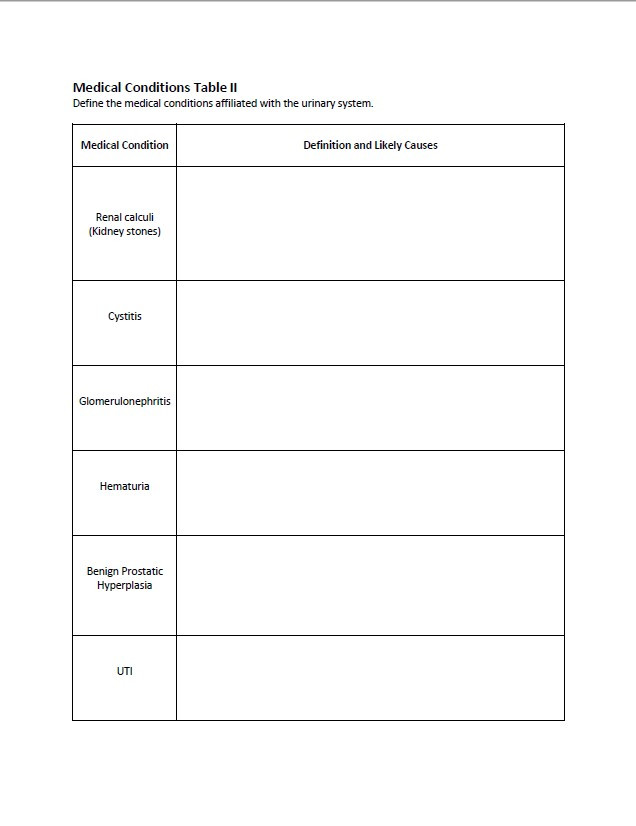Urinary System Study Guide Packet