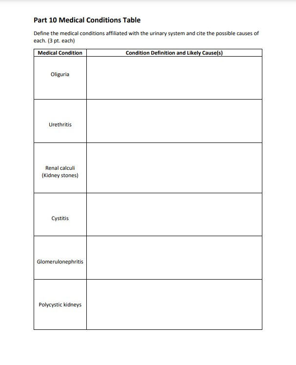 Urinary System Unit Exam - Amped Up Learning