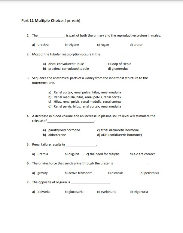 Urinary System Unit Exam - Amped Up Learning