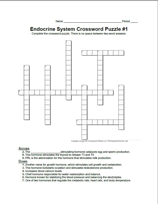 Endocrine System Crossword Puzzle Series (3 XP) - Amped Up Learning