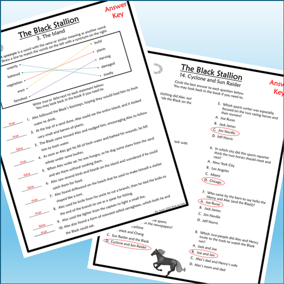 The Black Stallion Novel Study