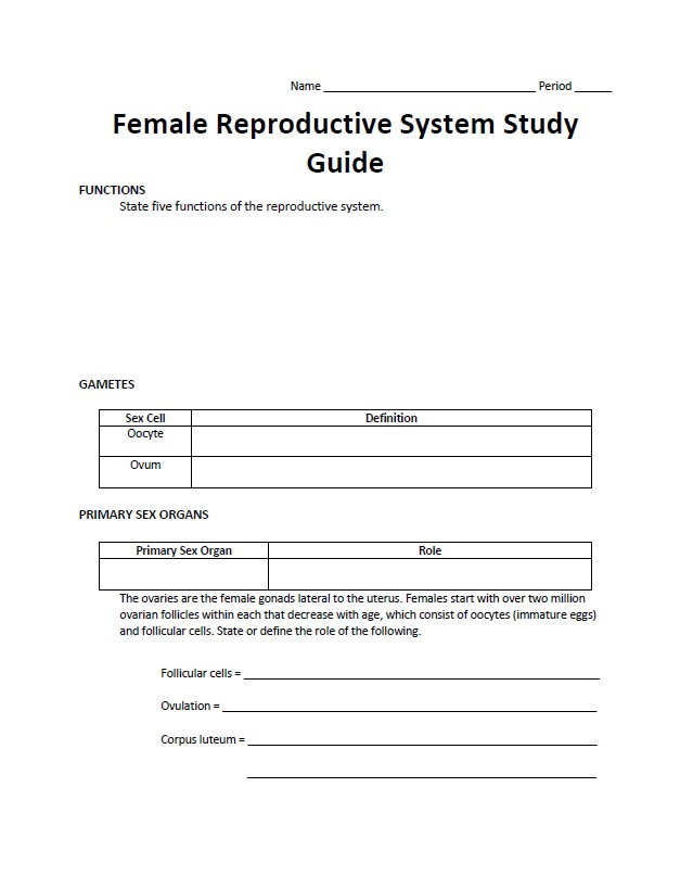 Female Reproductive System Study Guide