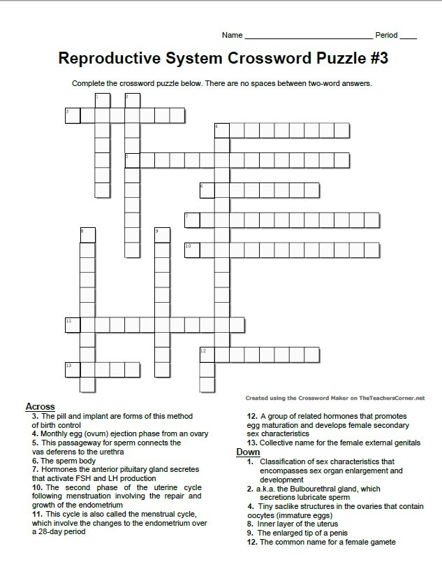 Reproductive System Crossword Puzzle Series