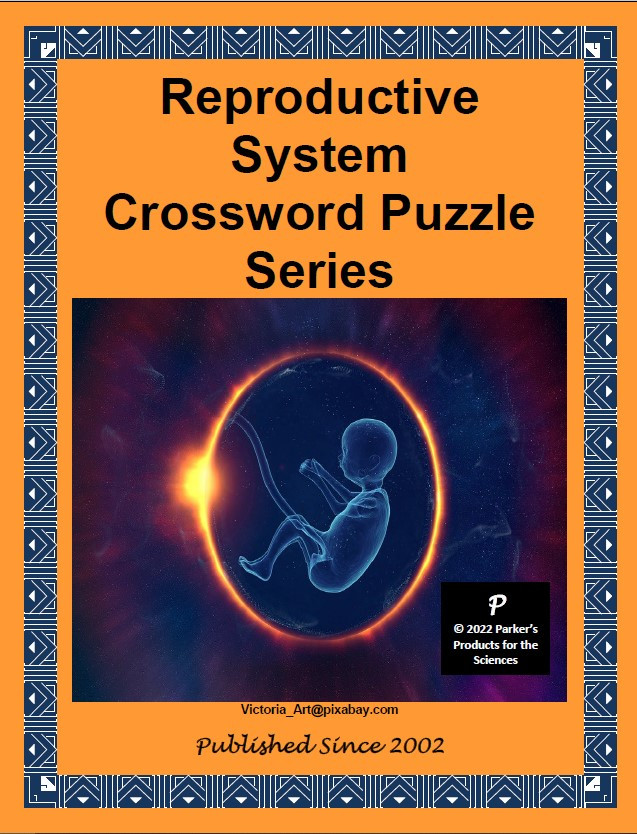 Reproductive System Crossword Puzzle Series