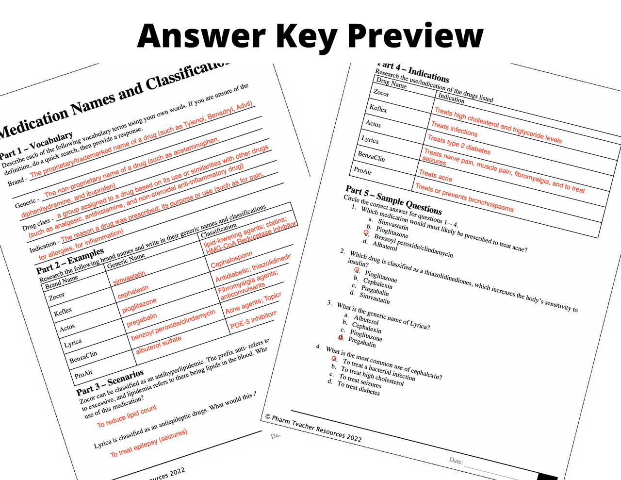 Pharmacy Interactive Notebook - Part 1