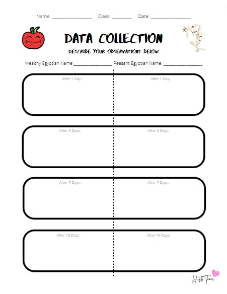 HistoTeam Mummify An Apple