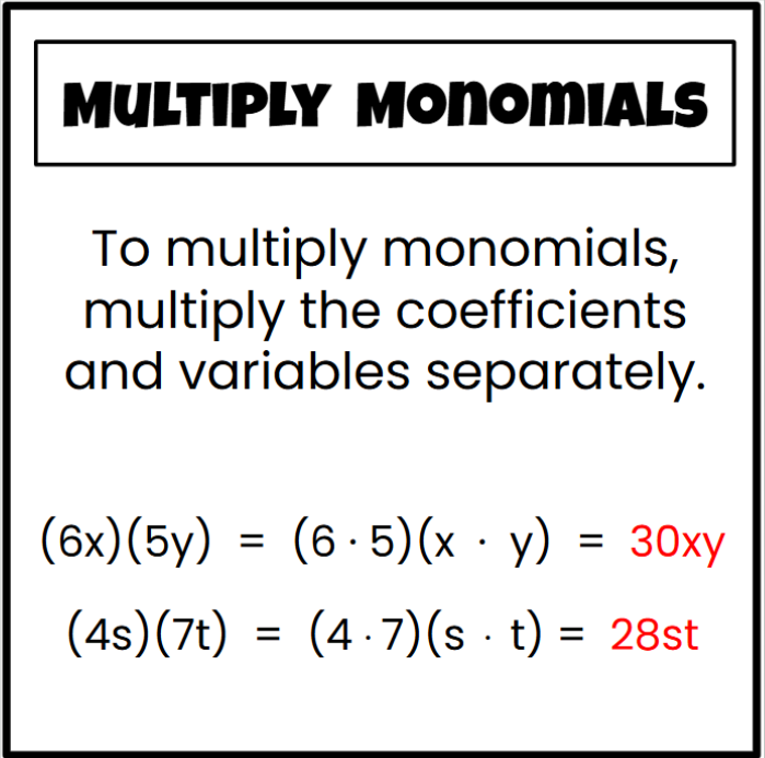 dividing monomials examples