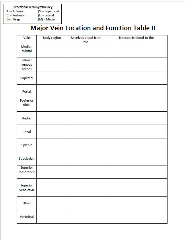 Systemic Vein Location and Function Table Set - Cardiovascular System ...