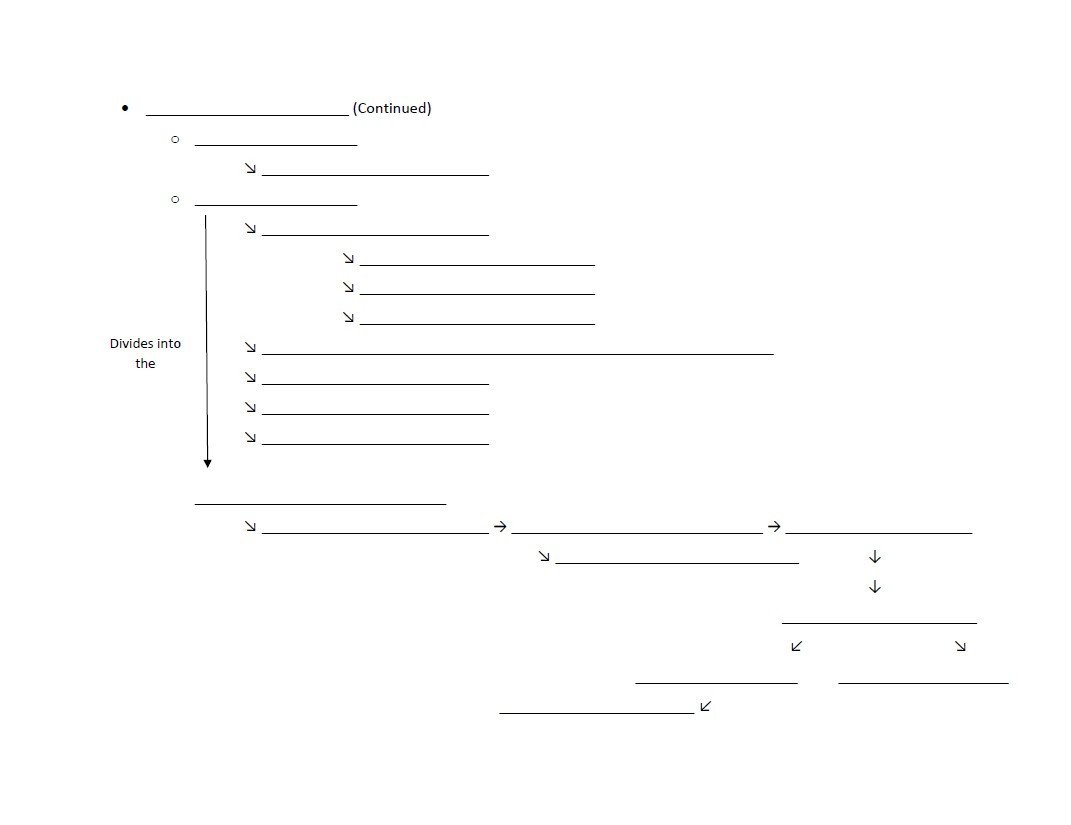 Systemic Arteries Mapping Activity - Cardiovascular System - Amped Up ...