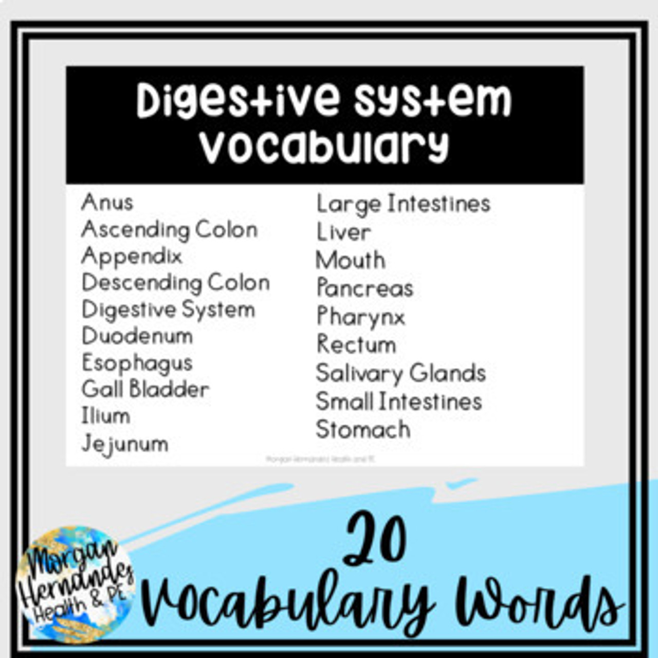 Health and Anatomy Word Wall | Digestive System
