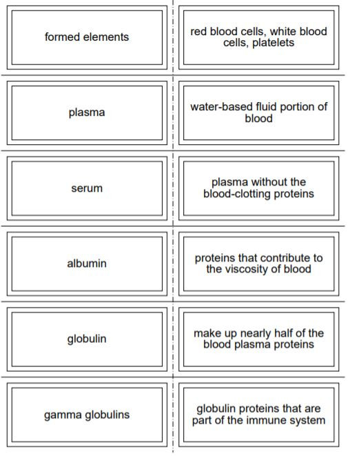 Blood Flash Cards for Honors Anatomy - Amped Up Learning