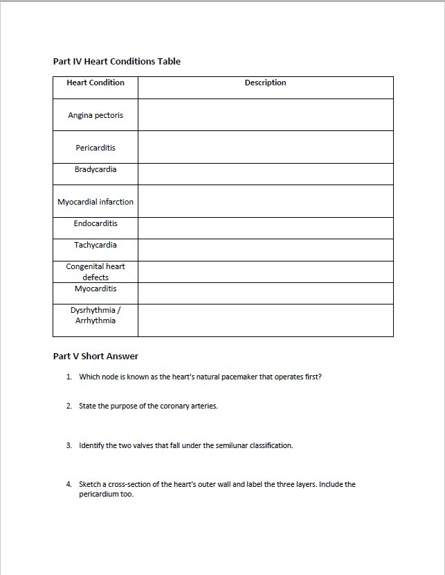 Heart Unit Study Guide for Human Anatomy and Physiology