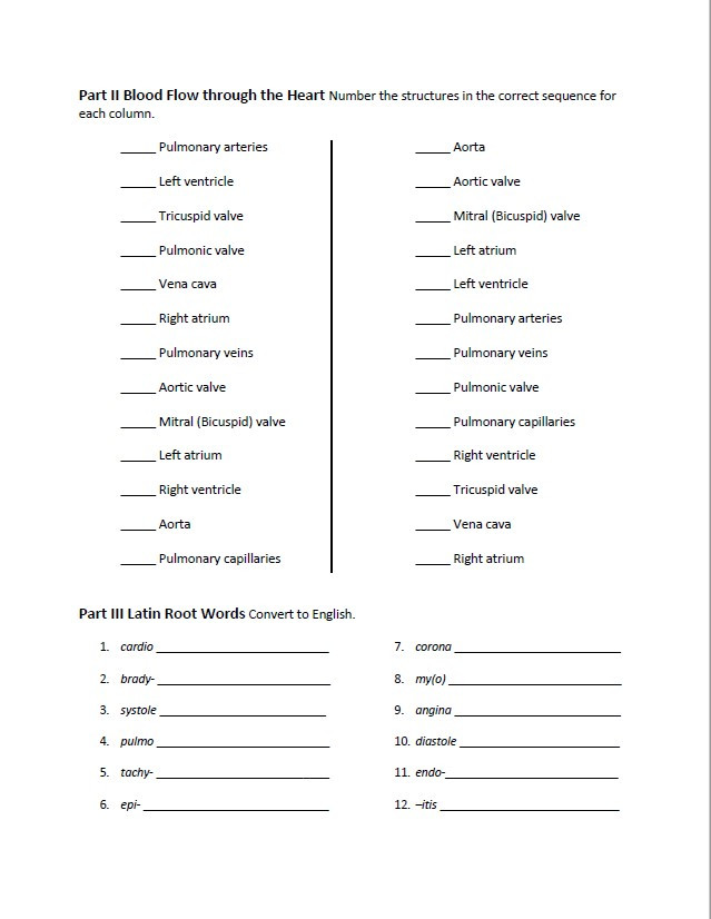 Heart Unit Study Guide for Human Anatomy and Physiology - Amped Up Learning