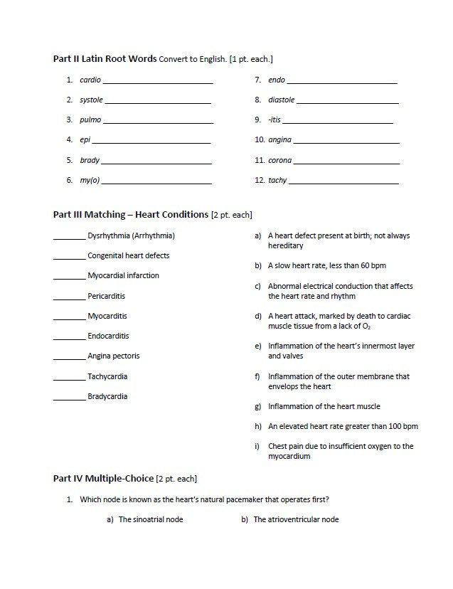 Heart Unit Exam for Human Anatomy and Physiology - Amped Up Learning