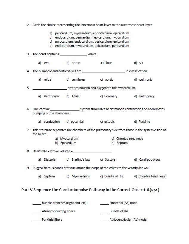 Heart Unit Exam for Human Anatomy and Physiology - Amped Up Learning
