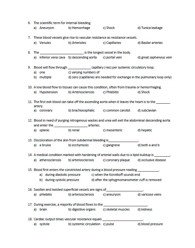 Systemic Circulation Exam A Cardiovascular System - Amped Up Learning